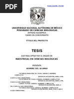 Ejemplo de Portada y Portadilla UNAM | PDF | Ciencia y matemáticas