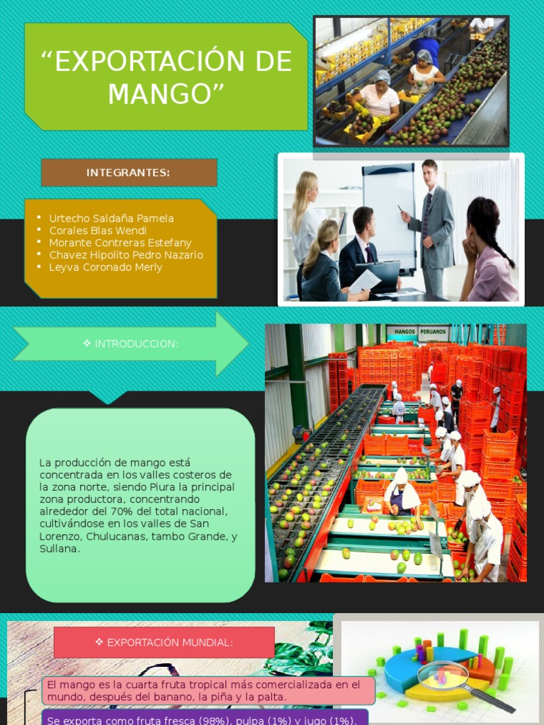 Exportación de Mangos | Perú | Horticultura y jardinería