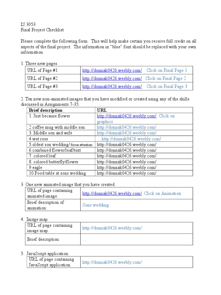 Final Project Checklist 1 | PDF
