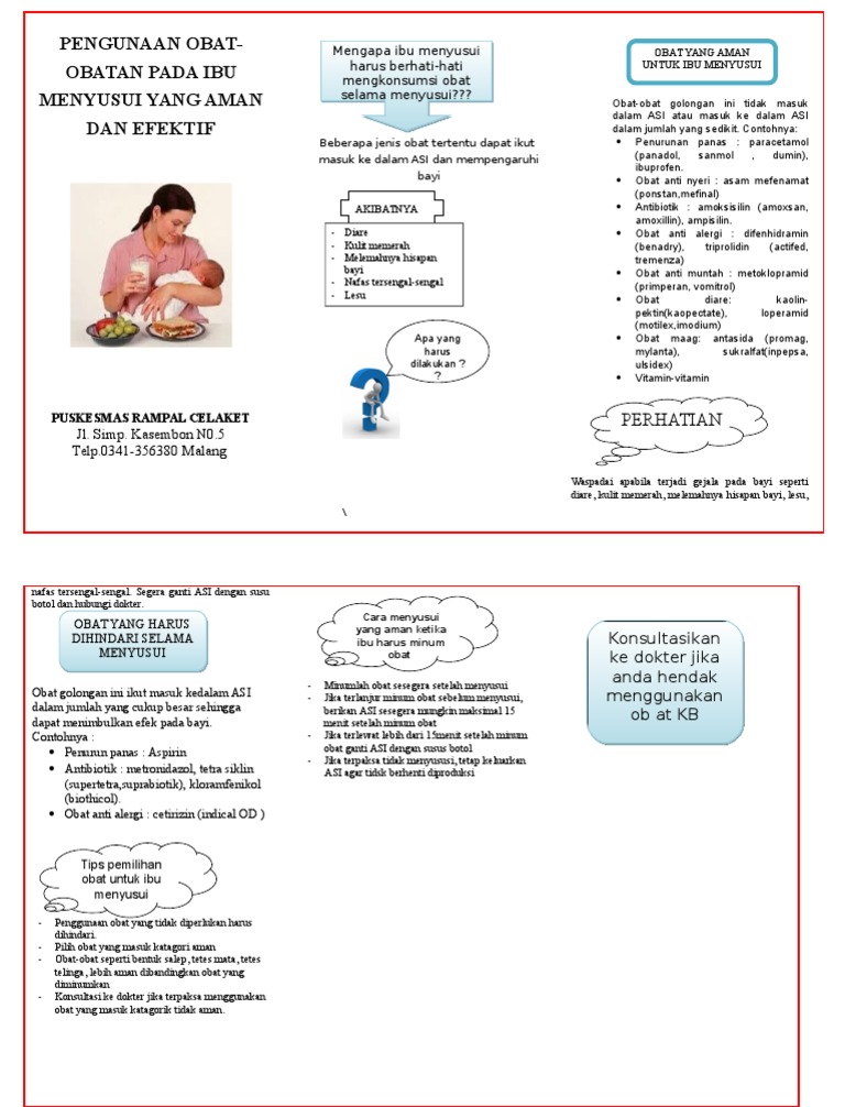 Penggunaan Obat-Obatan Ibu Hamil | PDF | Kesehatan Holistik