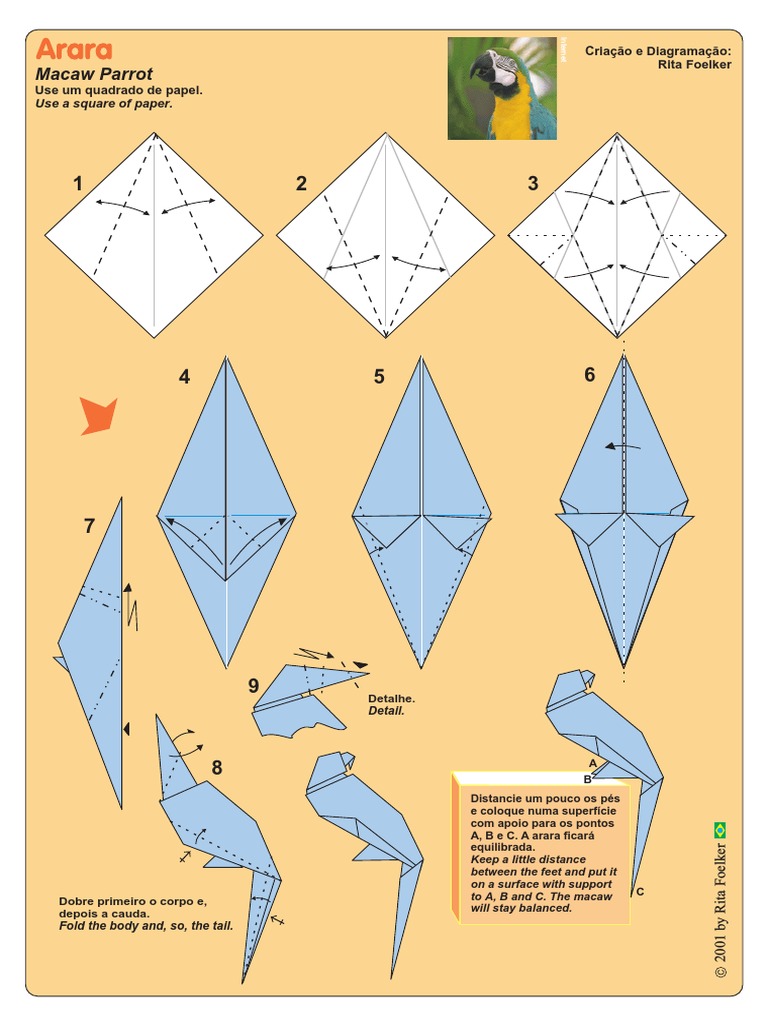 Origami Arara | PDF