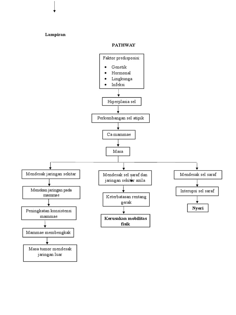PATHWAY CA Mammae | PDF