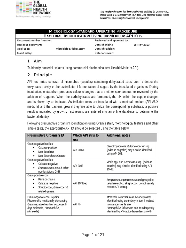 Bacterial Identification API Kits | PDF | Gram Negative Bacteria | Bacteria