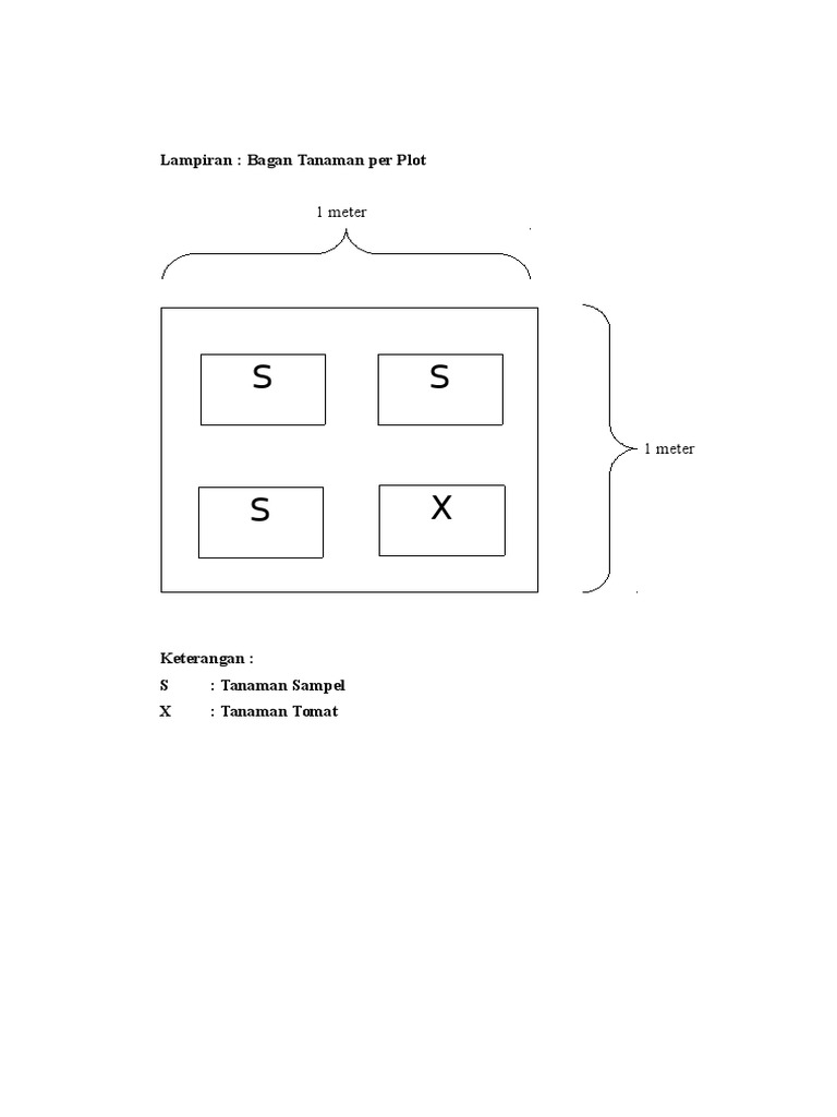 Lampiran: Bagan Tanaman Per Plot: 1 Meter | PDF