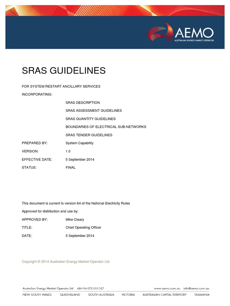 SRAS Guidelines | PDF | Reliability Engineering | Electric Power System