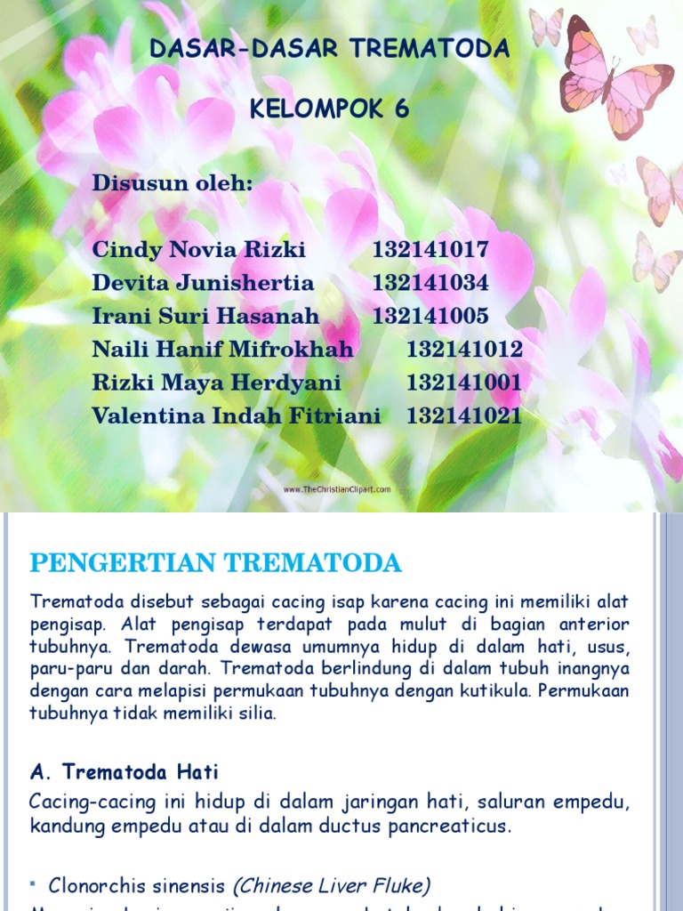 Dasar-dasar Trematoda: Jenis dan Siklus Hidup | PDF | Kesehatan ...