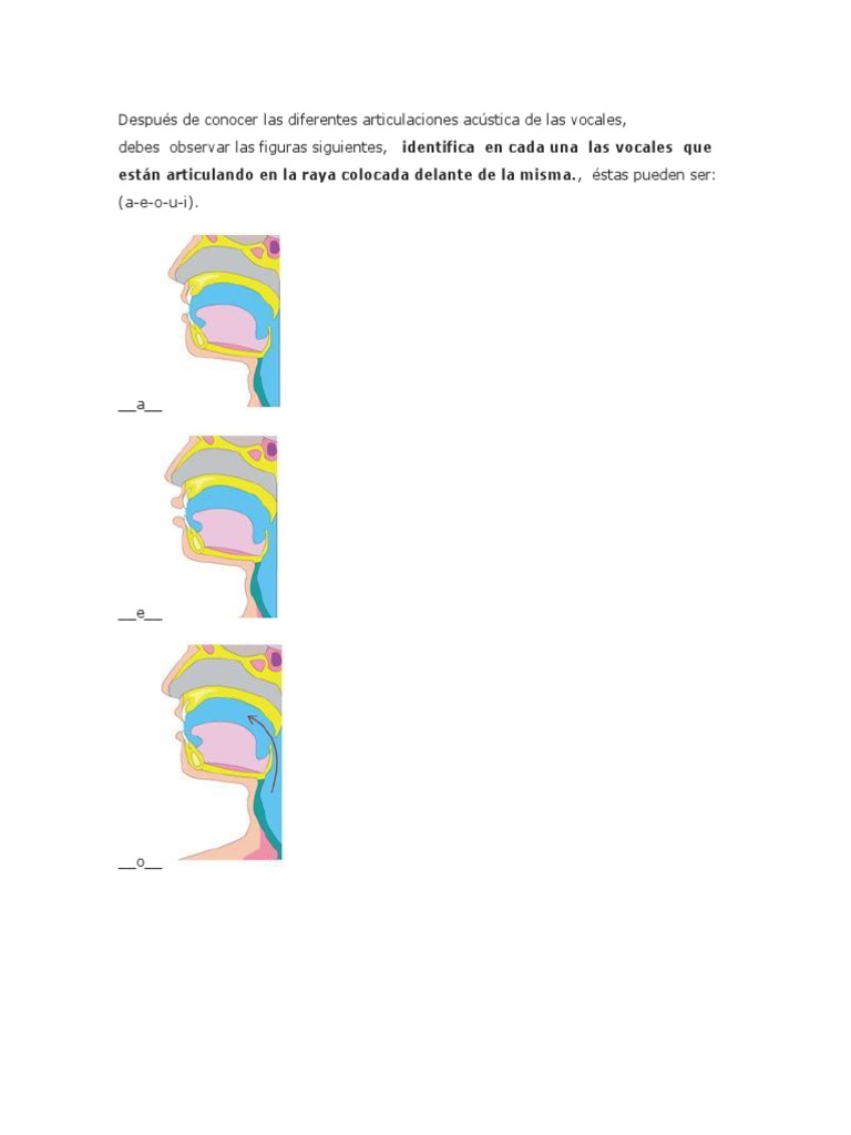 Identificación de vocales a través de figuras de articulación oral | PDF