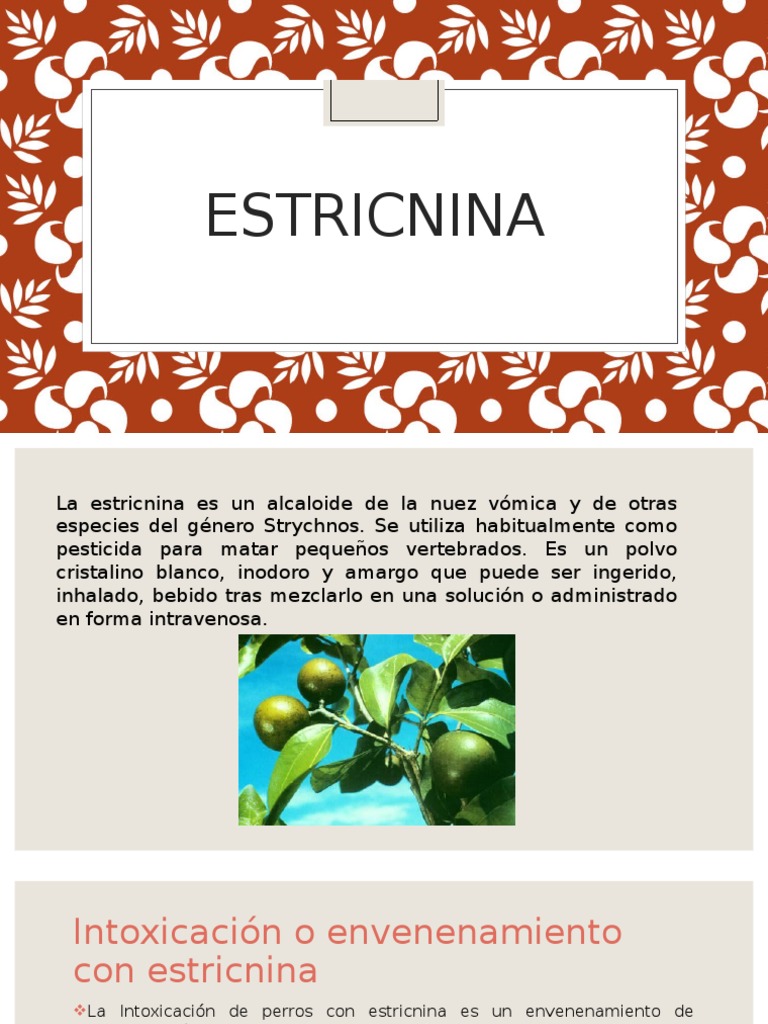 Efectos y tratamiento de la estricnina | PDF | Relaciones personales ...