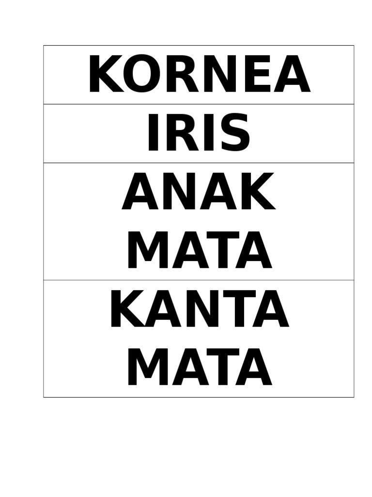 Kornea Iris Anak Mata Kanta Mata | PDF