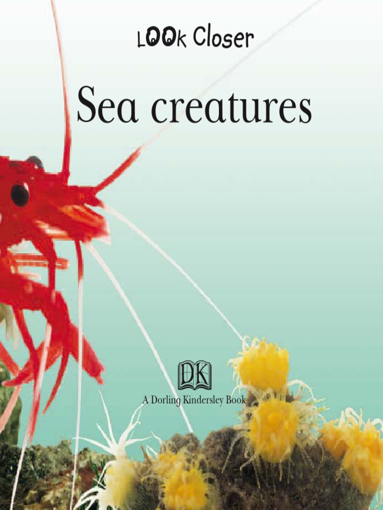 Sea Creatures | PDF