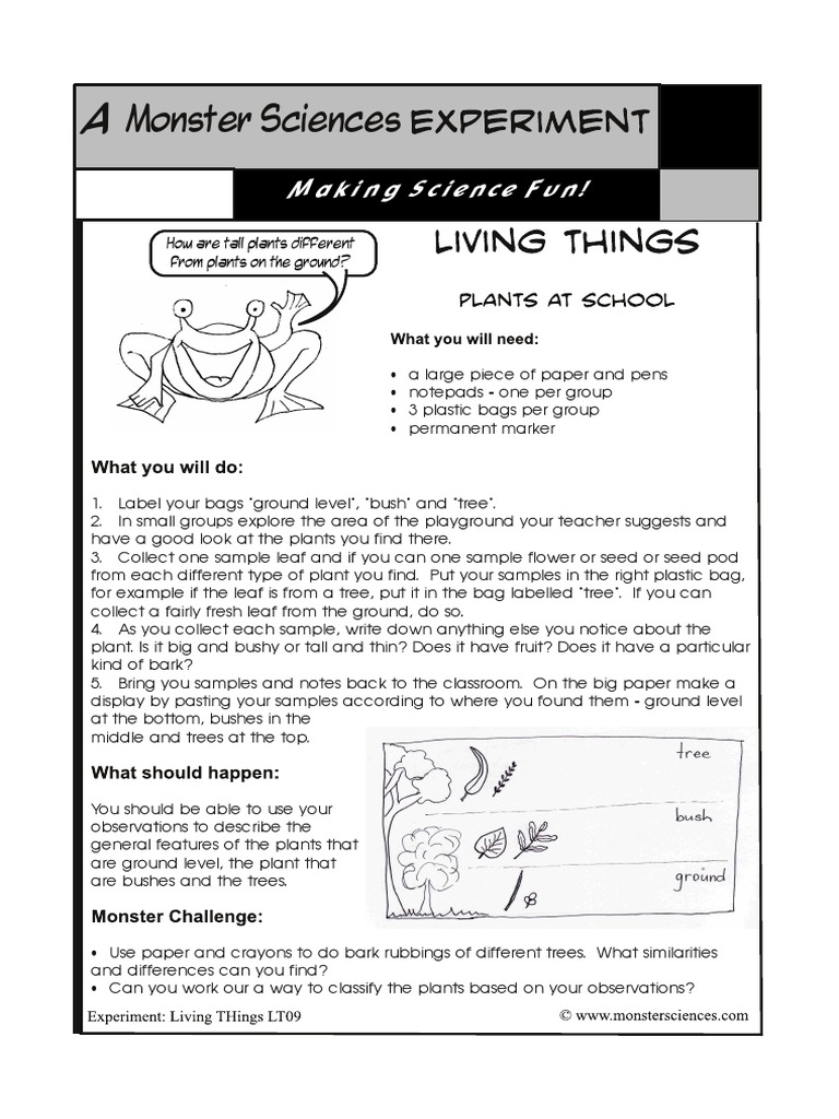 A Monster Sciences: Making Science Fun! | PDF