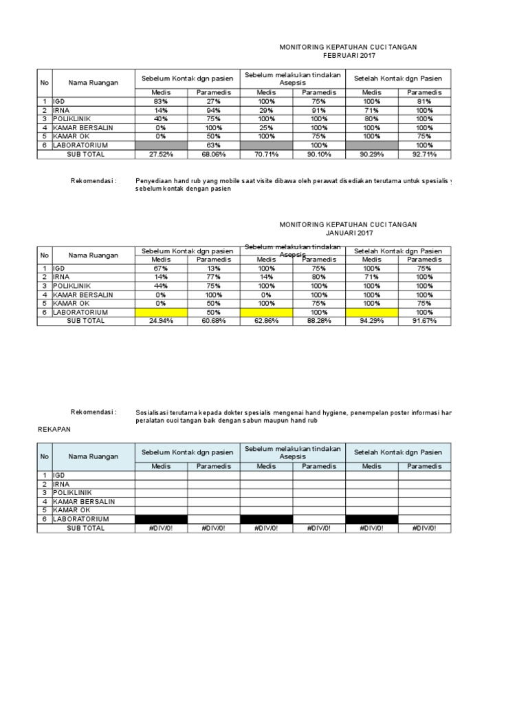Laporan Monitoring PPI (Bulanan) | PDF