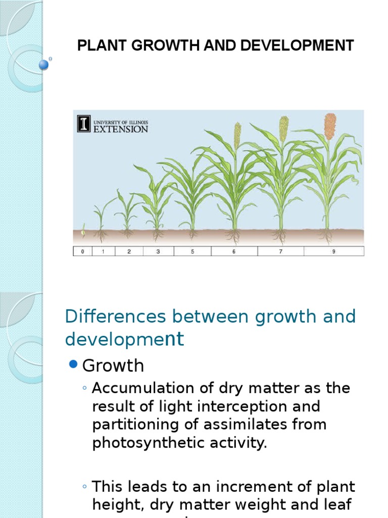 Plant Growth and Development 2016 | Seedling | Flowers