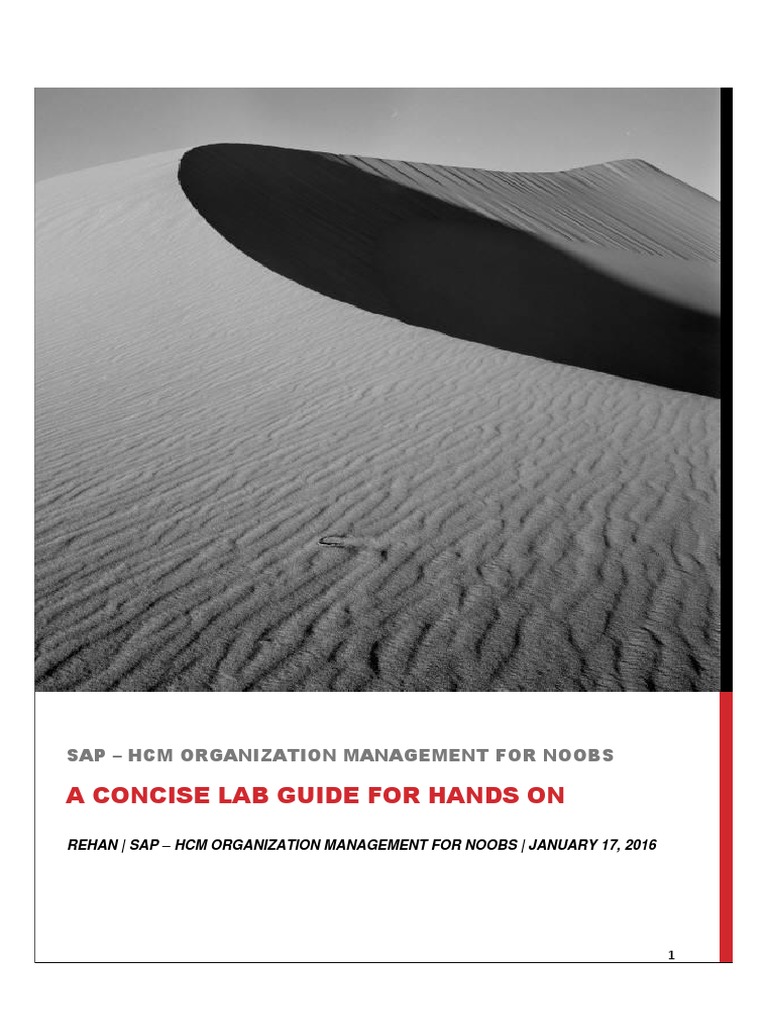 SAP HCM Org Management Guide for Beginners | PDF | Double Click ...