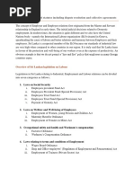 Belize Labor Laws Overview 2024 | PDF | Sick Leave | Overtime