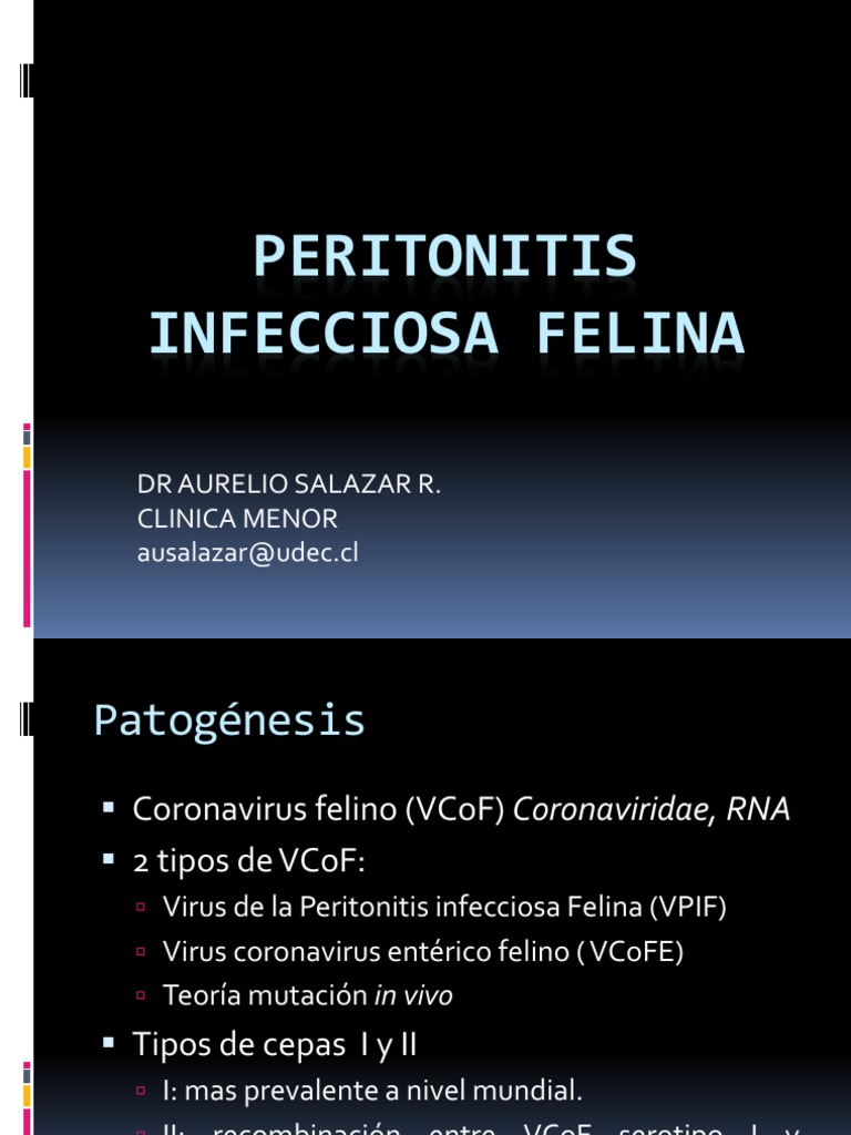 Peritonitis Infecciosa Felina | PDF | Inflamación | Inmunología