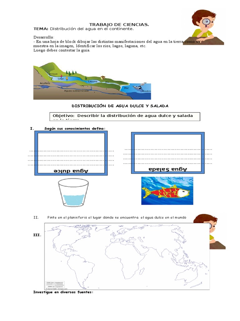 Guia Ciencias 5° Distribucion Del Agua | PDF