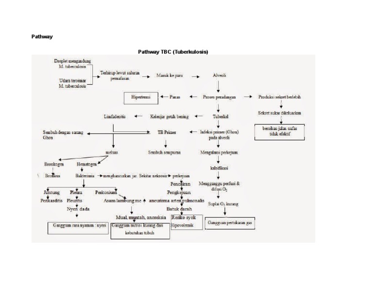 Pathway Pathway TBC (Tuberkulosis) | PDF