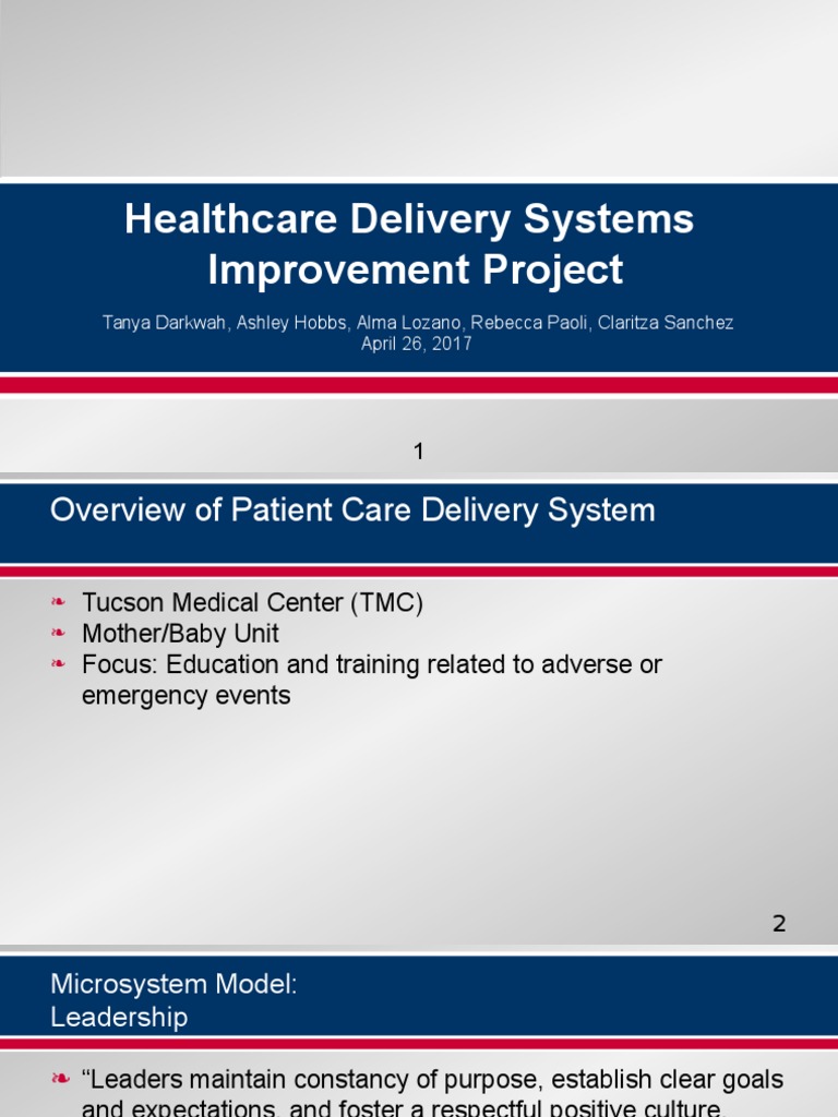 Overview of Healthcare Delivery Systems | PDF | Health Care | Nursing