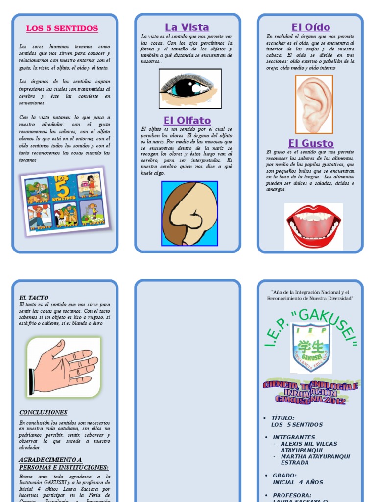 5 Sentidos | Gusto | Sentidos