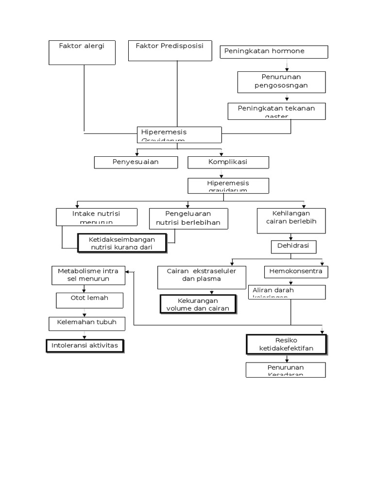 Patofisiologi Hiperemesis Gravidarum