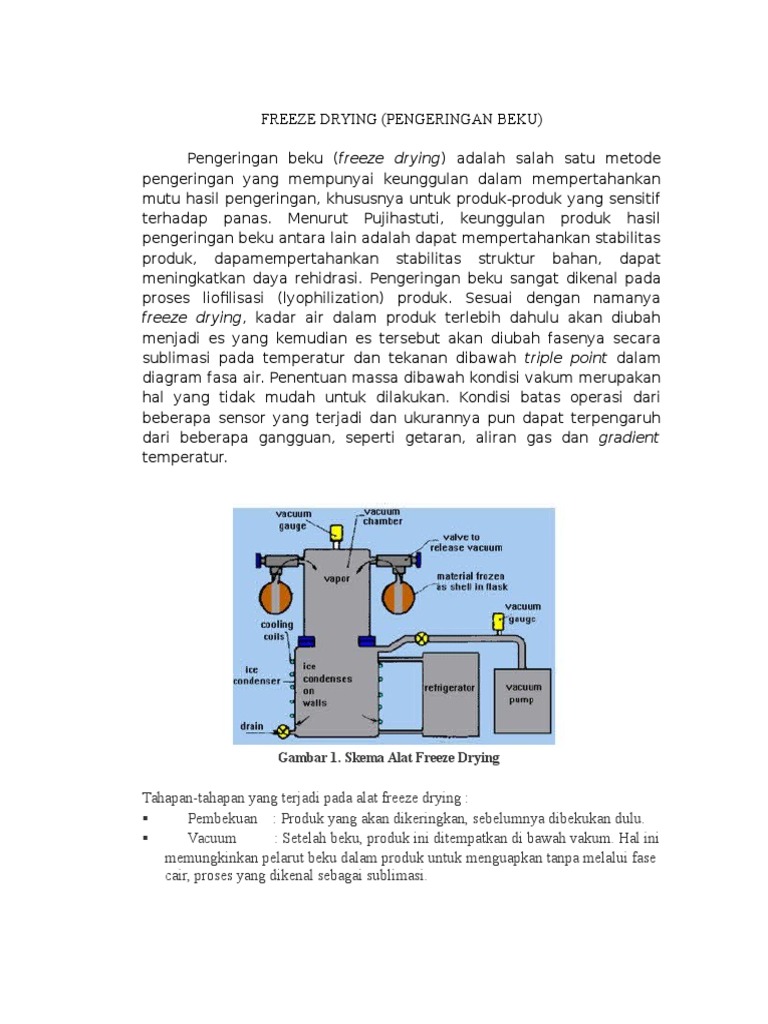 Keunggulan dan Proses Freeze Drying | PDF | Komputer