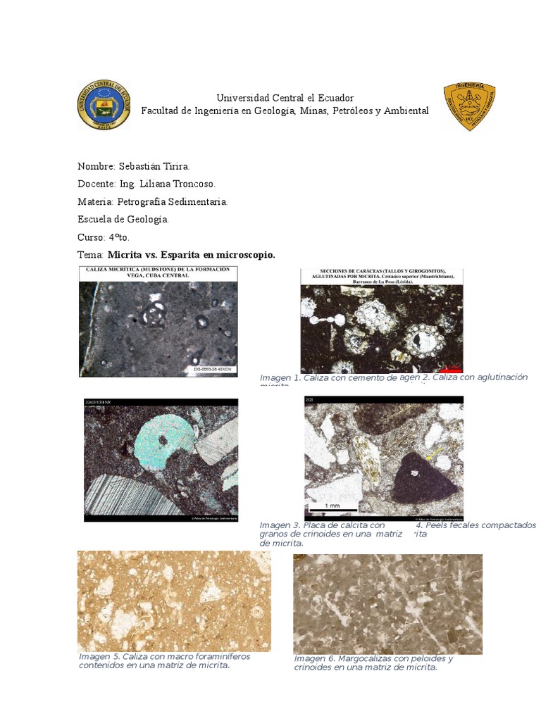 Esparita Vs Micrita | PDF | Caliza | Calcita