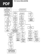 Pathway CKD Sdki | PDF
