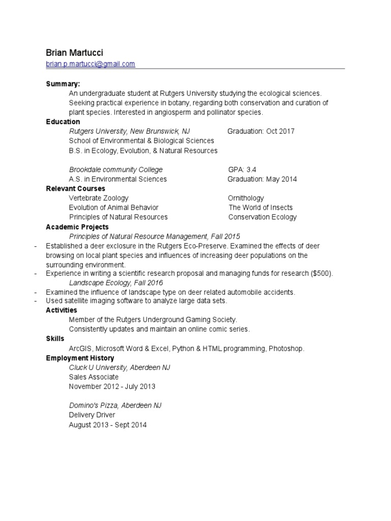 Website Resume | PDF