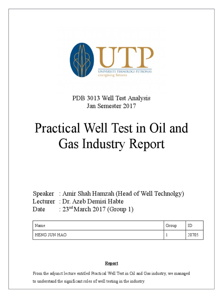 Pratical Well Test in Oil & Gas Industry Report - 20705 | PDF ...