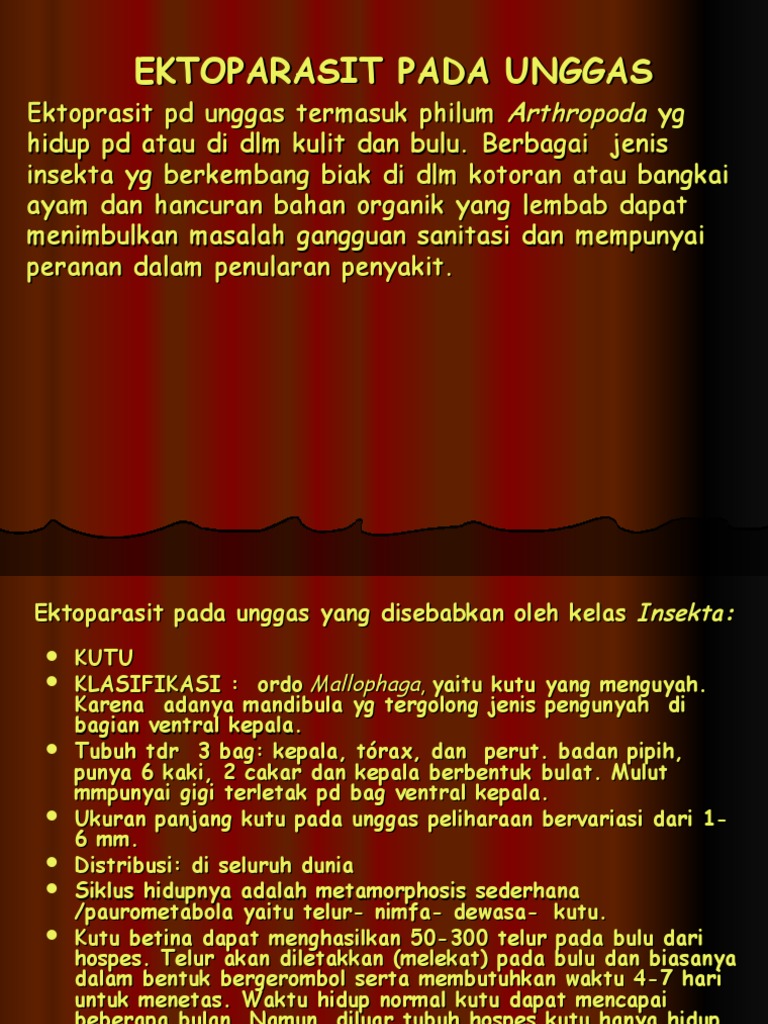 3 - Ektoparasit Pada Unggas | PDF