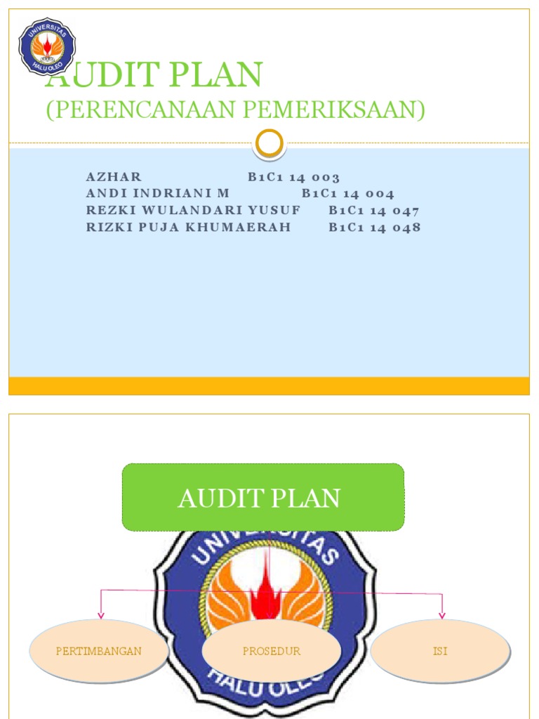 Audit Plan (Perencanaan Pemeriksaan) | PDF