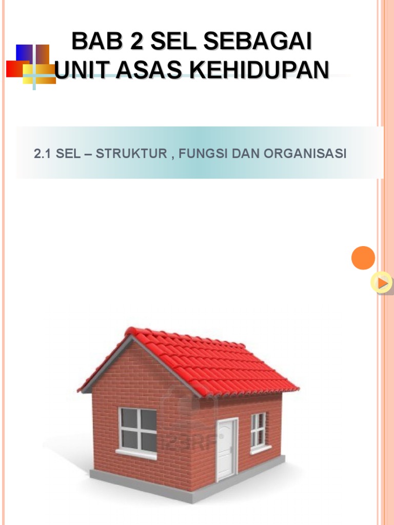 Organisma Unisel Dan Multisel | PDF