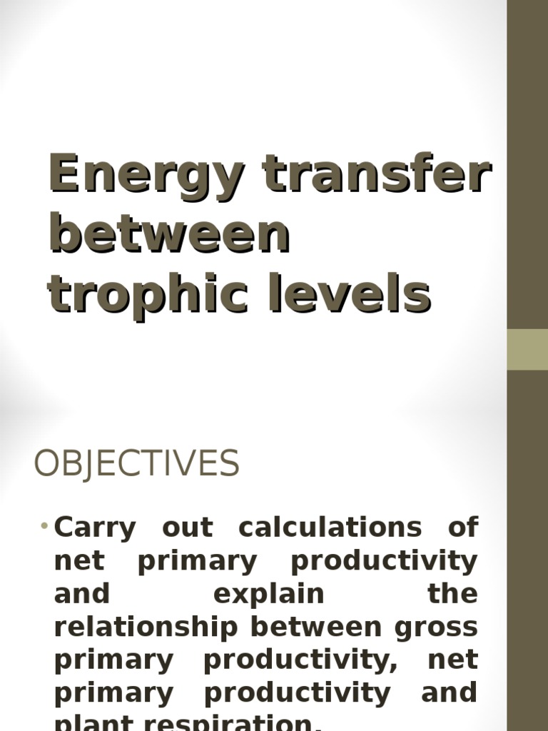 Energy Transfer Efficiency in Trophic Levels | PDF | Wellness | Science ...