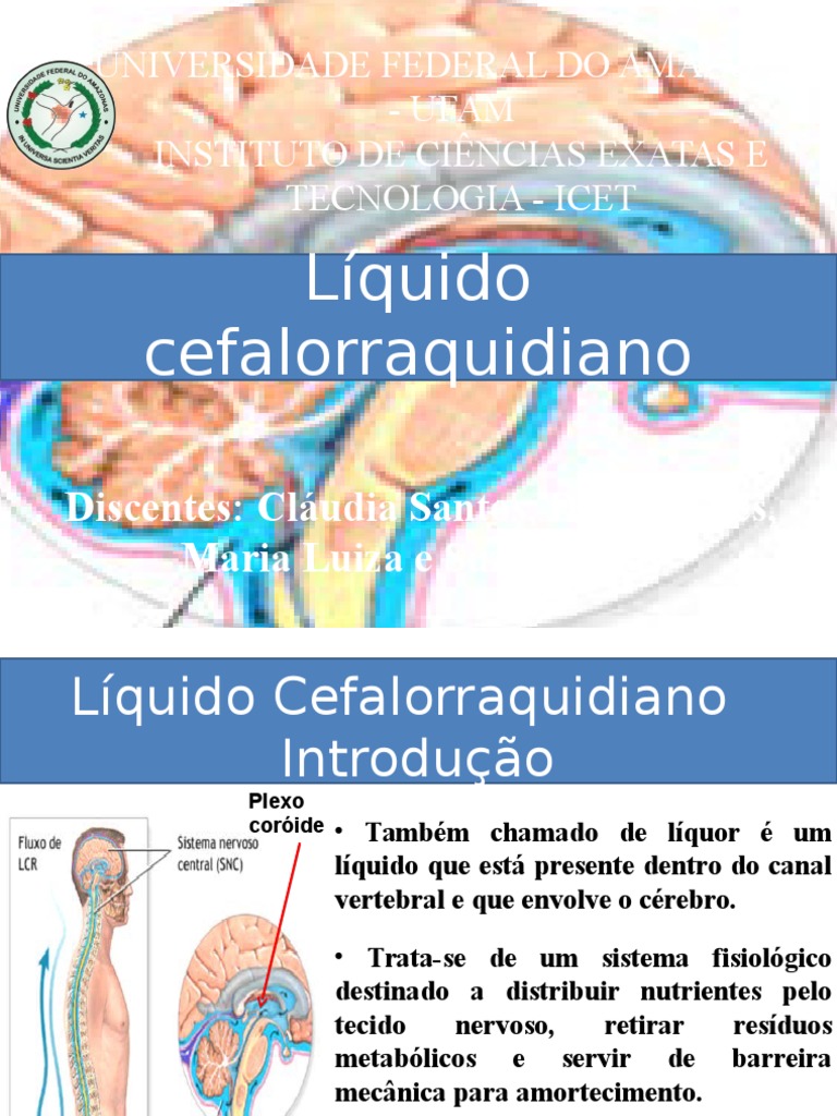 Líquido cefalorraquidianor | Líquido Cefalorraquidiano | Especialidades ...