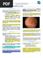 Diaz Apaza Anthony Jesus-Diascopia - Vitropresion | PDF ...