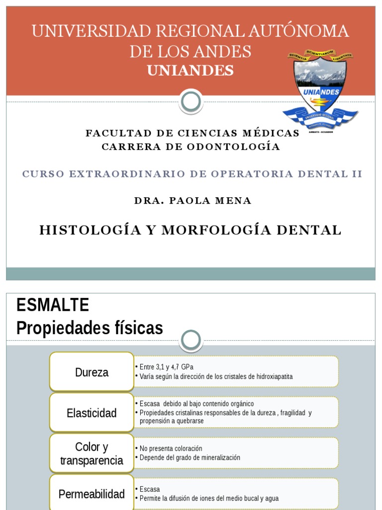 Histologia y Morfologia Dental | PDF | Esmalte de dientes | Ramas de ...
