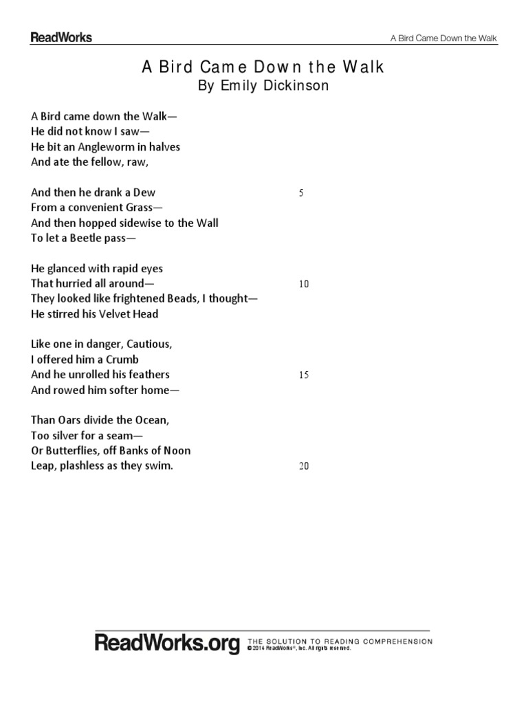 A Bird Came Down The Walk NP Passage and Questions | PDF | Nature