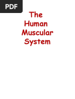 Tempra Dosage Chart | PDF | Dose (Biochemistry) | Chemistry
