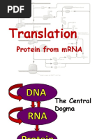 Tempra Dosage Chart | PDF | Dose (Biochemistry) | Chemistry
