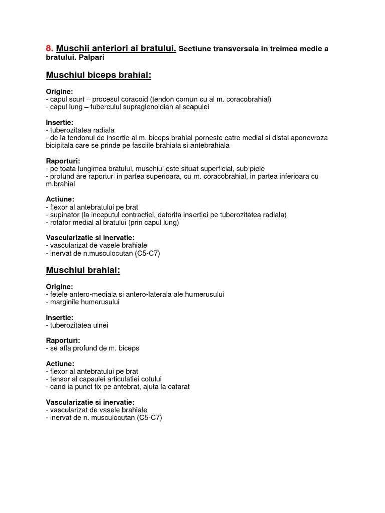 Muschiul Biceps Brahial | PDF