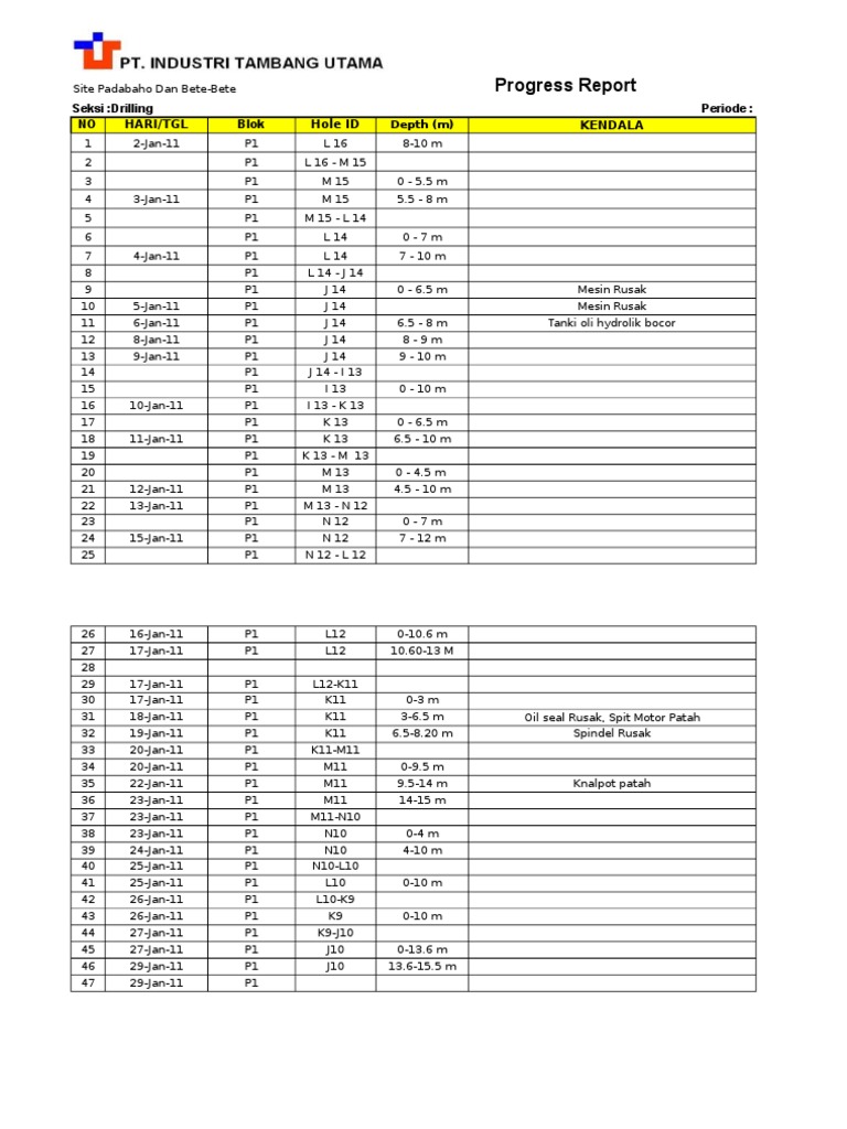 Progress Report Drilling 2009 | PDF