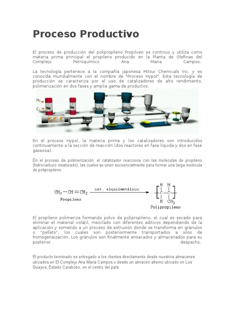 Proceso Productivo Propilven | PDF