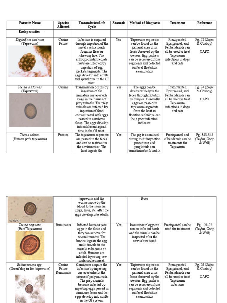 parasite profile chart | Public Health | Veterinary Medicine