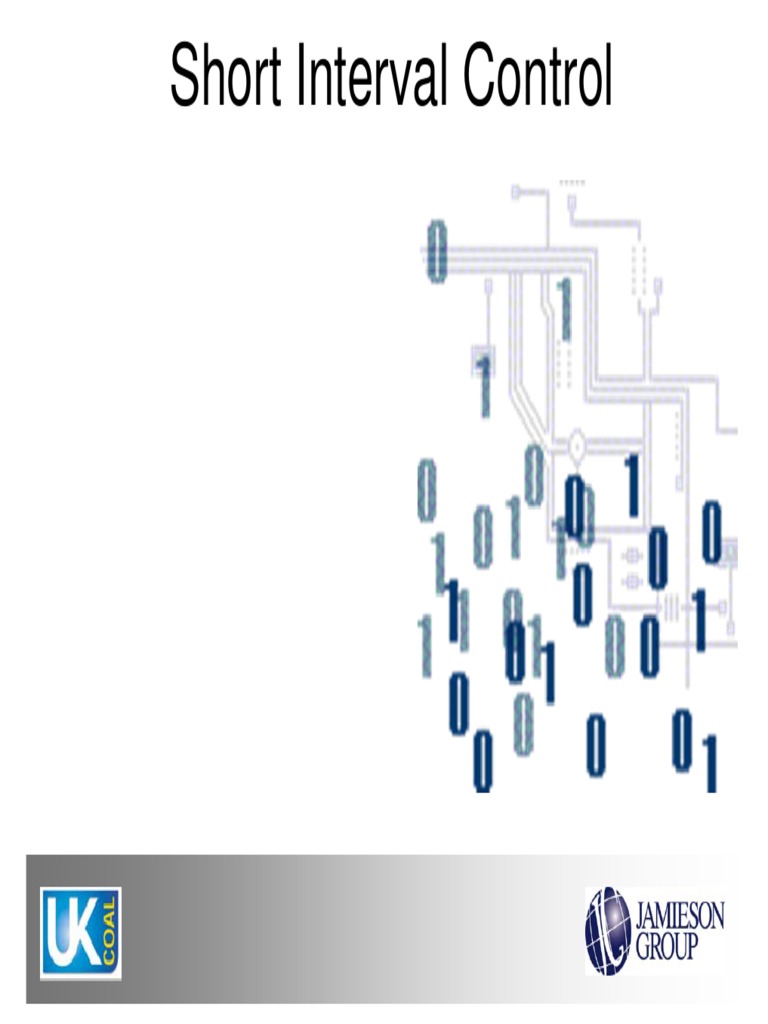 Jamieson - Short Interval Control | PDF | Budget | Cognition