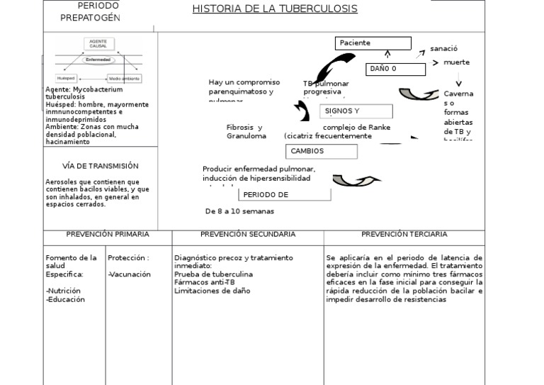 Periodo Prepatogénico | Descargar gratis PDF | Tuberculosis | Rtt