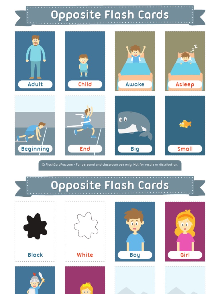 Opposite Flash Cards 2x3 | Nature