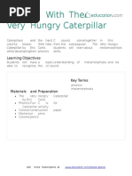 Caterpillar's Journey to Butterfly | PDF