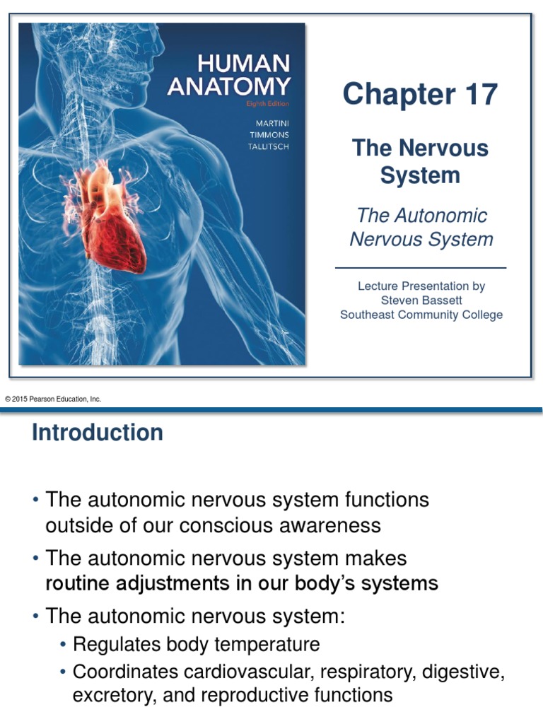 Autonomic Nervous System | PDF | Autonomic Nervous System | Nervous System