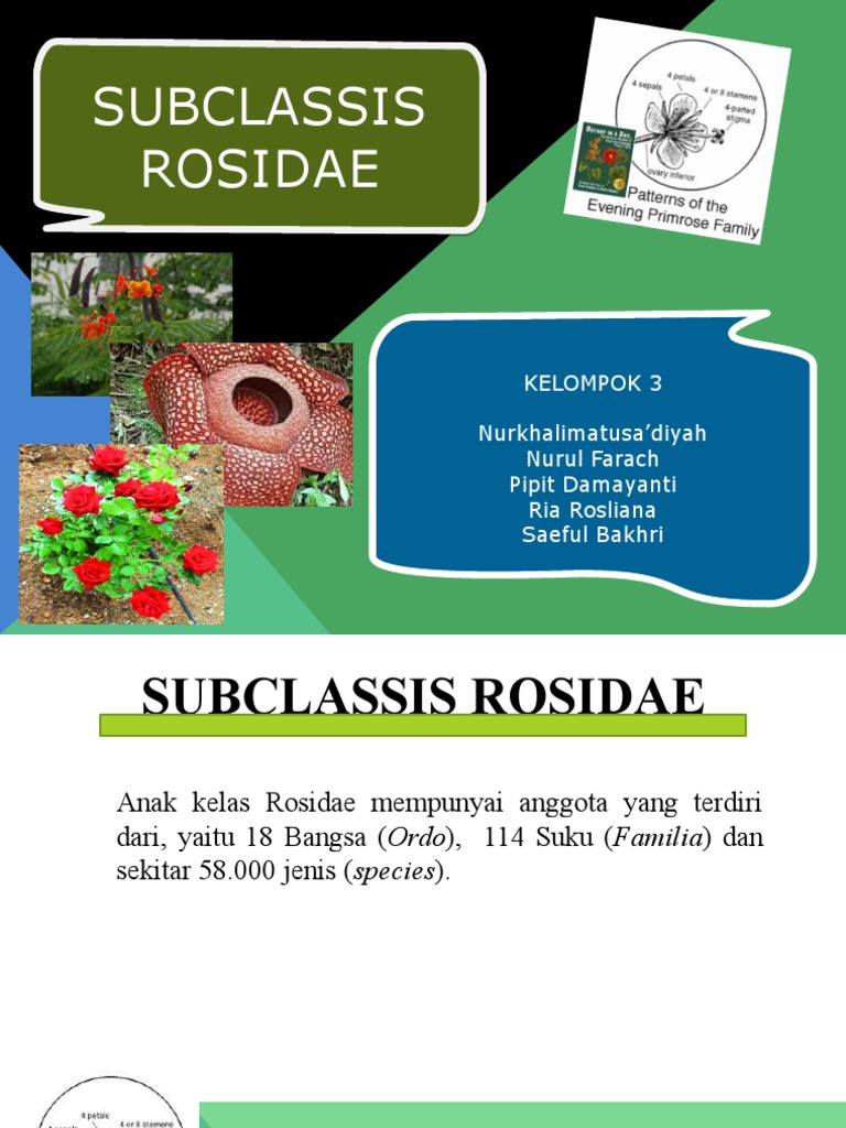 Bissmillah ROSIDAE | PDF